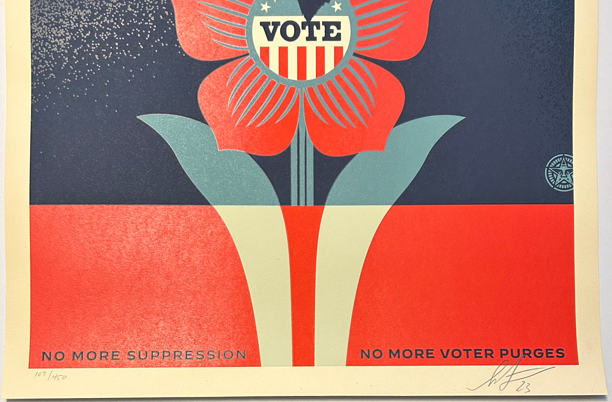 Shepard Fairey - Defend Democracy - Original Print – Blackline Gallery