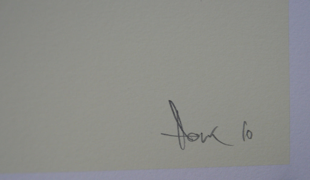 Dolk Teddy Riot original print – Blackline Gallery